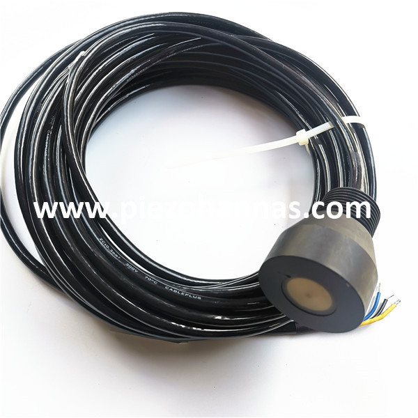 Custom 650KHz Ultrasonic Transducer for Sludge Level Sensors from China ...